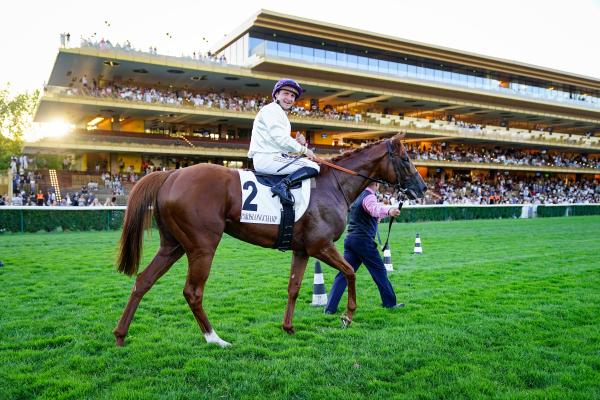 The Haras d’Etreham announces flat stallion fees for the 2024 season ...